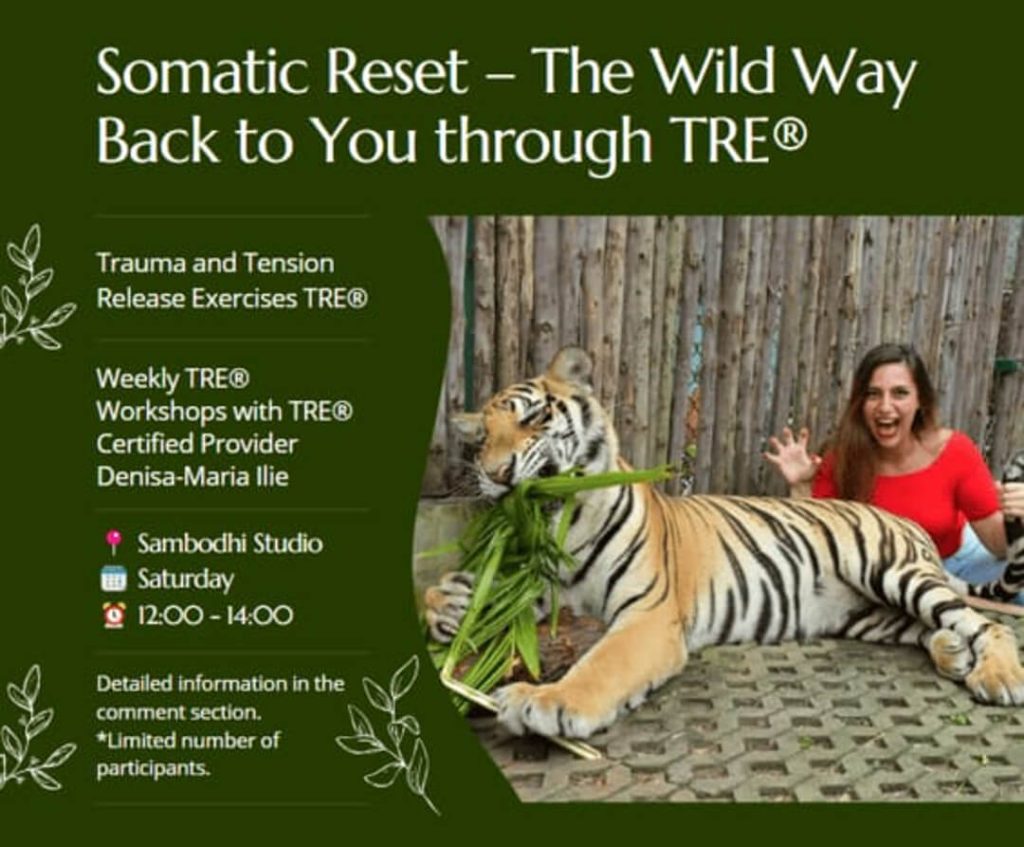 SAMBODHI STUDIO | Somatic Reset – The Wild Way Back to You through TRE® @ Sambodhi Studio
