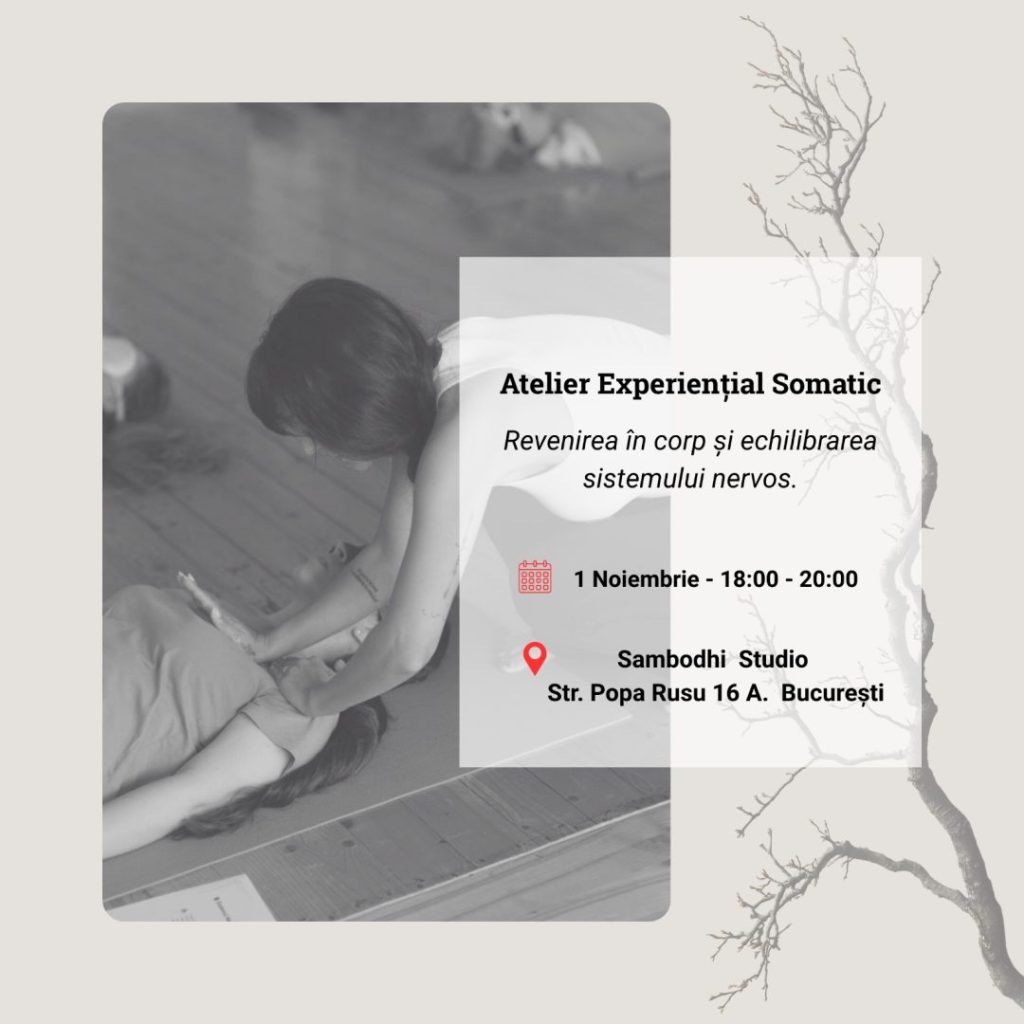SAMBODHI STUDIO | Atelier Experiential Somatic: Revenirea in corp si echilibrarea sistemului nervos